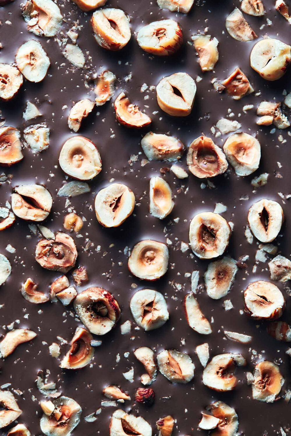 Chocolate Hazelnut Praline Bars - Evergreen Kitchen